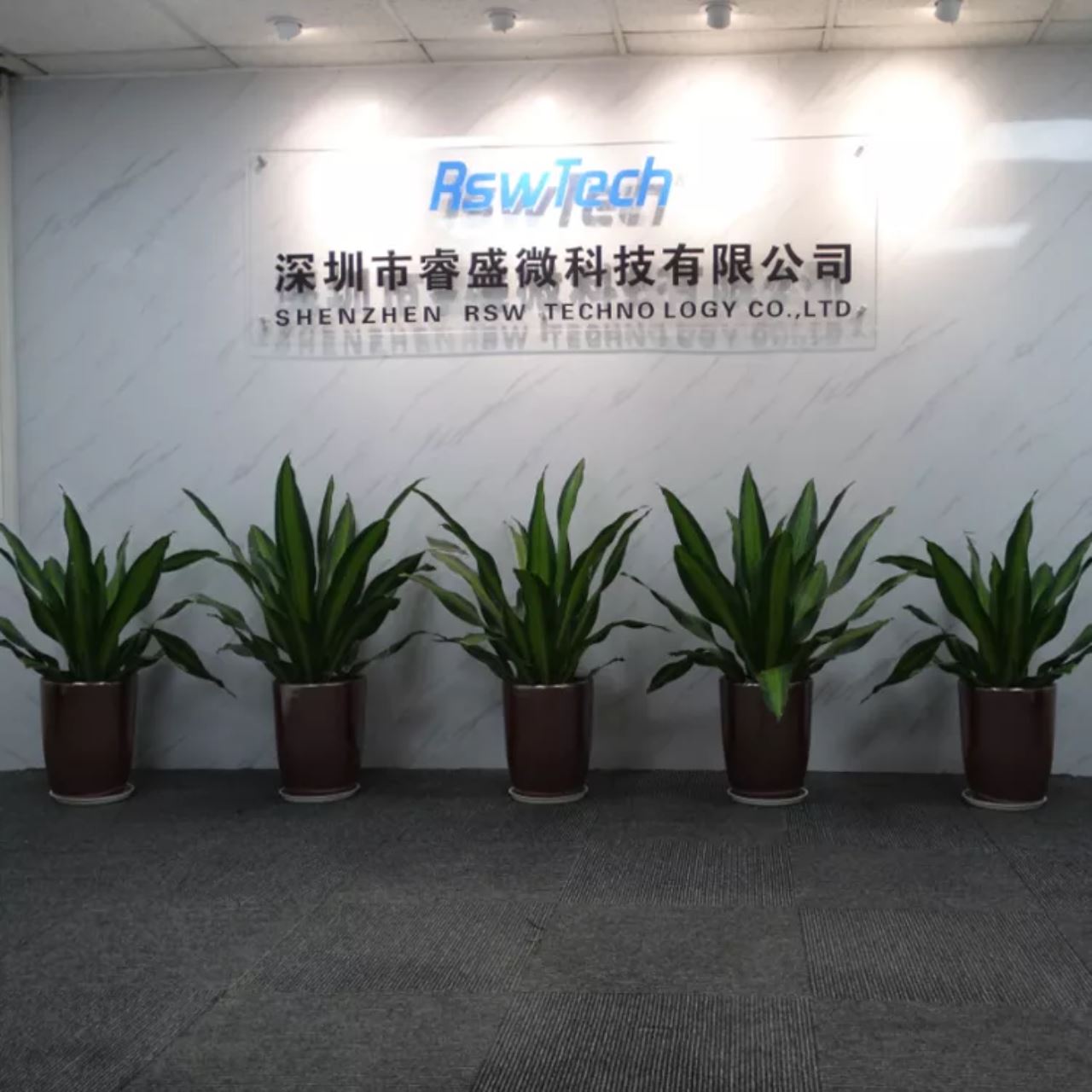 RUISHENG CO., LIMITED - Home